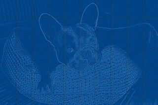 Blueprint Photo Effect | Create a blueprint from your pictures