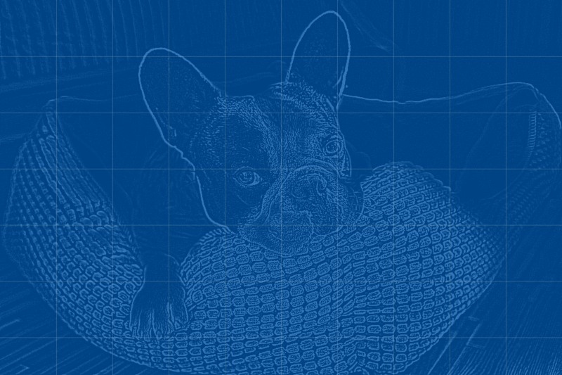 Blueprint Picture Effect
