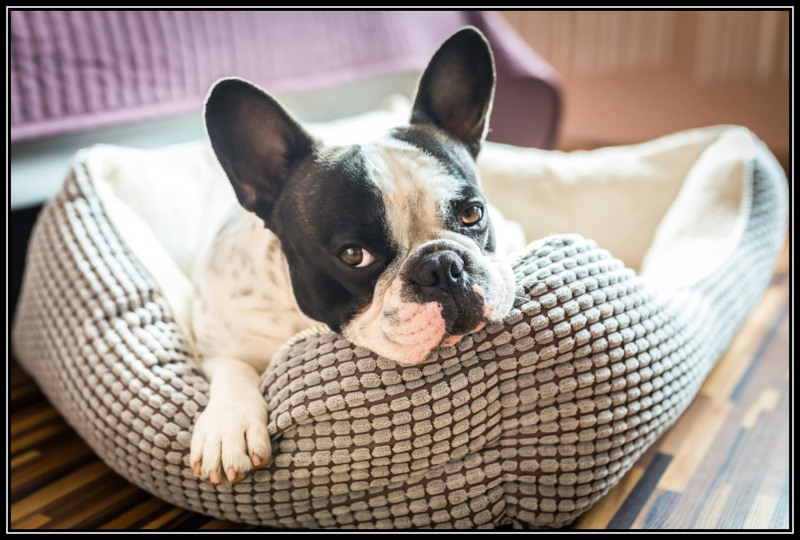 Image Border Editor