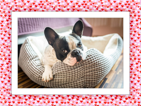 Create Romantic Heart Photo Frames - Easy & Customizable