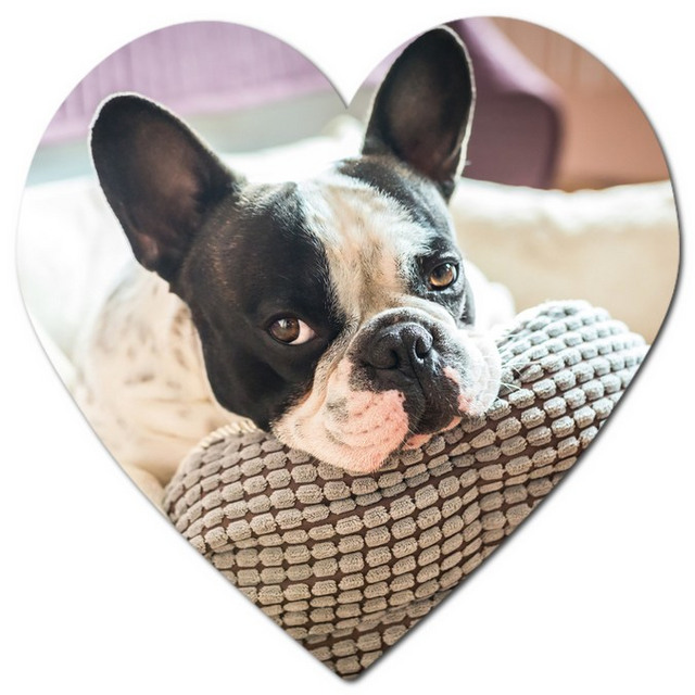 Photo Shape Editor | Cut your pictures into different shapes