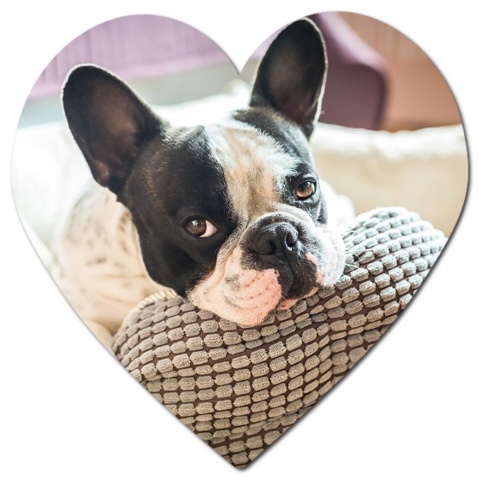 Photo Shape Editor